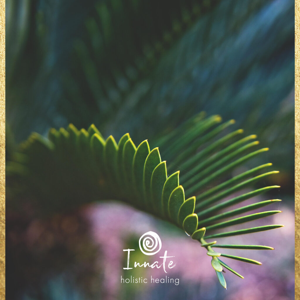 Nicola Chaffey Blog - Innate Holistic Healing Sunshine Coast